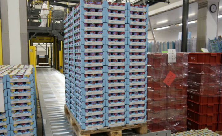 Scott Automation | Multi-line palletising system for cheese and dairy…