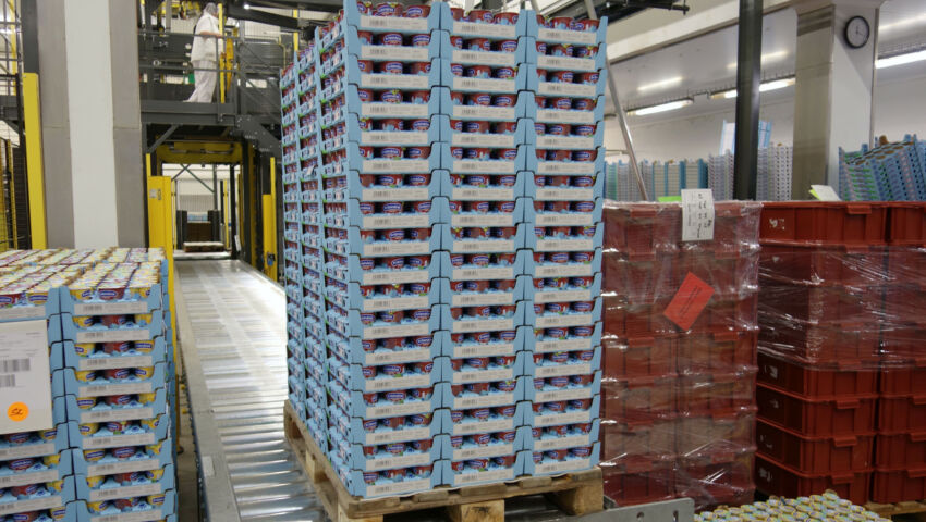 Scott Automation | Multi-line palletising system for cheese and dairy…