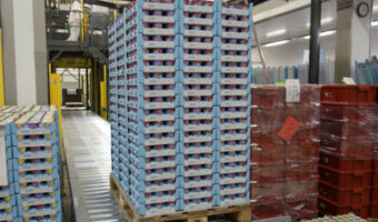 Scott Automation | Multi-line palletising system for cheese and dairy…