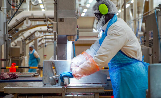 The BladeStop Safety Bandsaw | Scott Automation