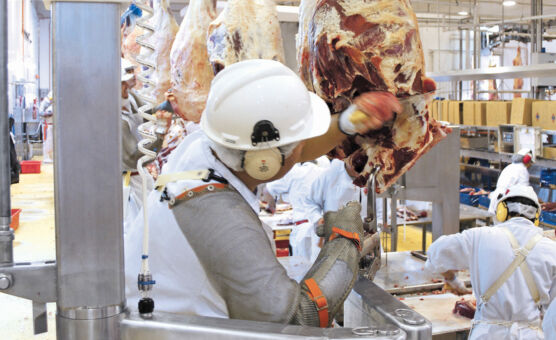 Scott | Lamb Processing Solutions