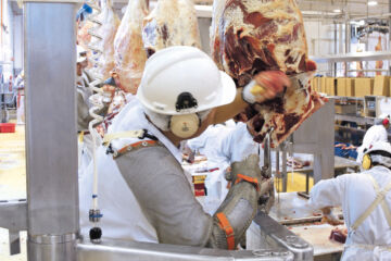 Scott | Meat Processing Industry Automation Solution