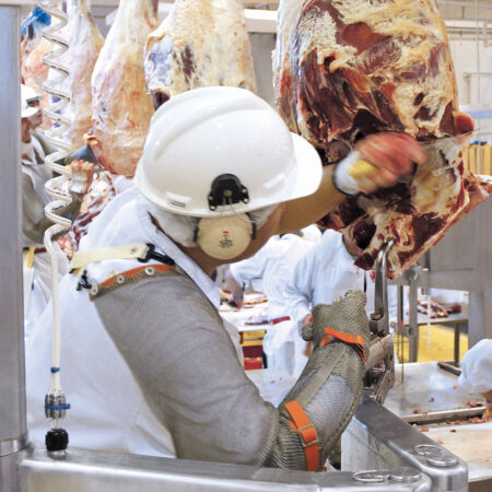Scott Automation | Meat Processing