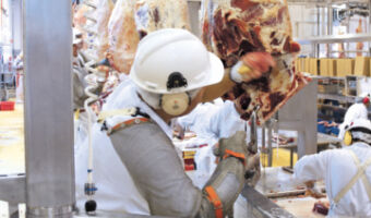 Scott | Meat Processing Industry Automation Solution