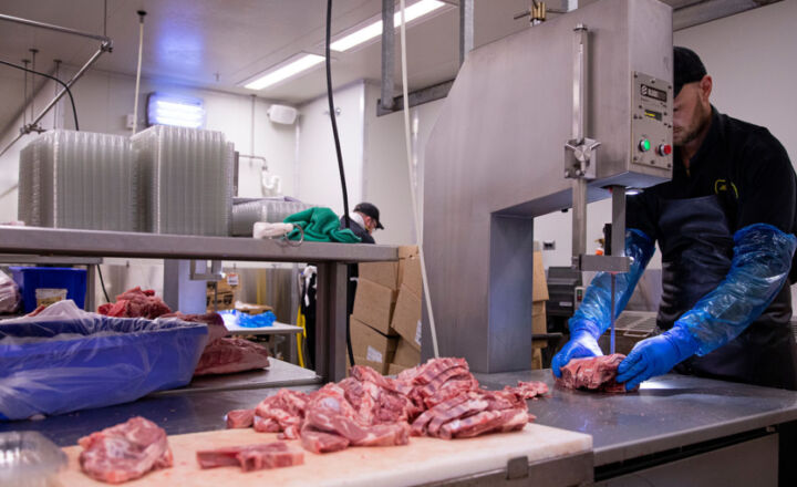 Scott | Lamb Processing Solutions