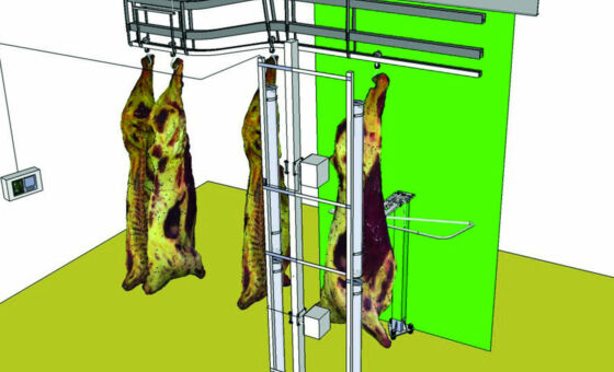 Scott | Spotlight on Meat Processing Automation