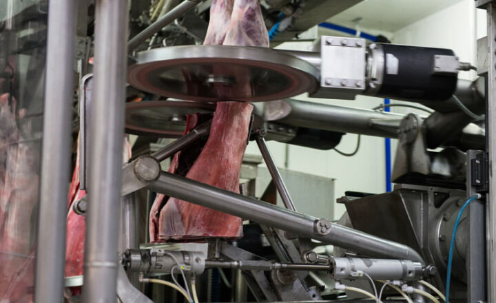 Scott | Lamb Processing Solutions