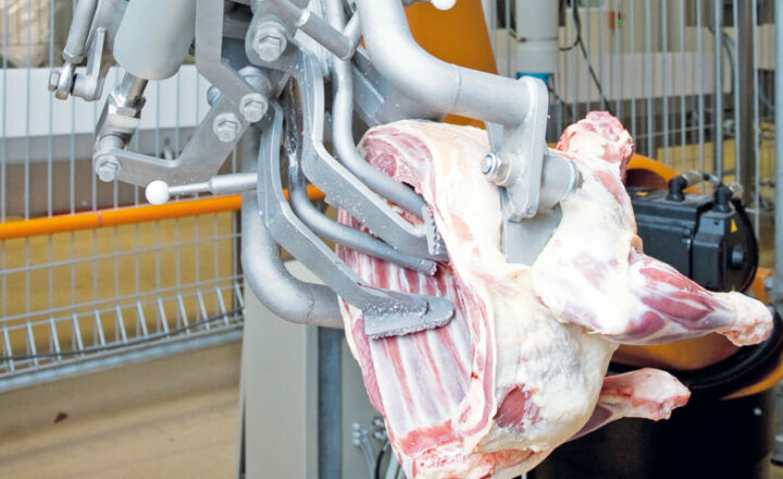 Scott | Lamb Processing Solutions