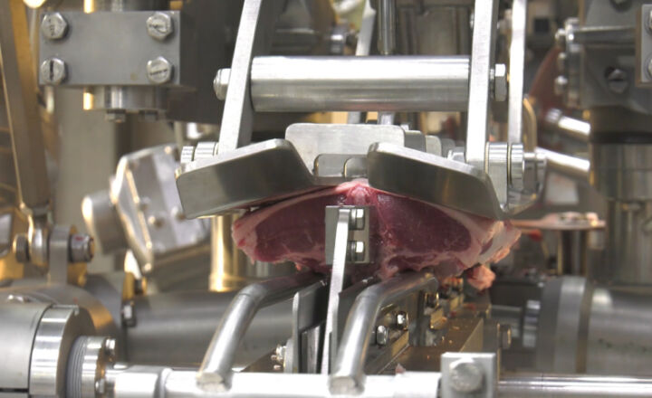 Scott | Lamb Processing Solutions