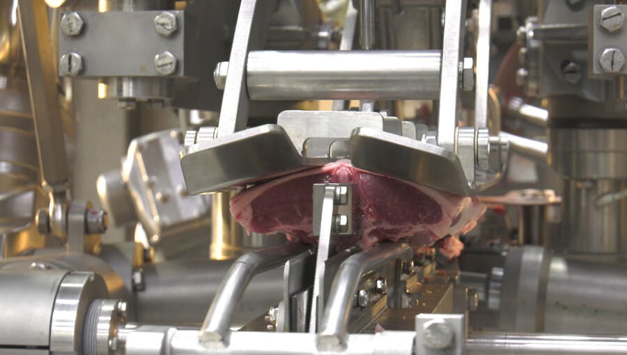 Scott | Lamb Processing Solutions