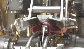 Scott | Lamb Processing Solutions