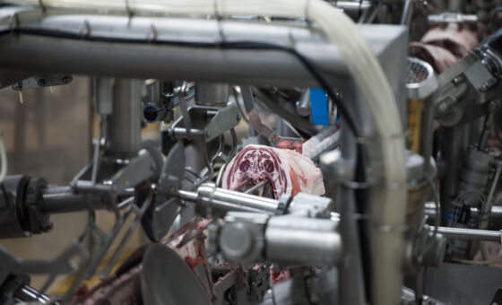 Scott | Spotlight on Meat Processing Automation