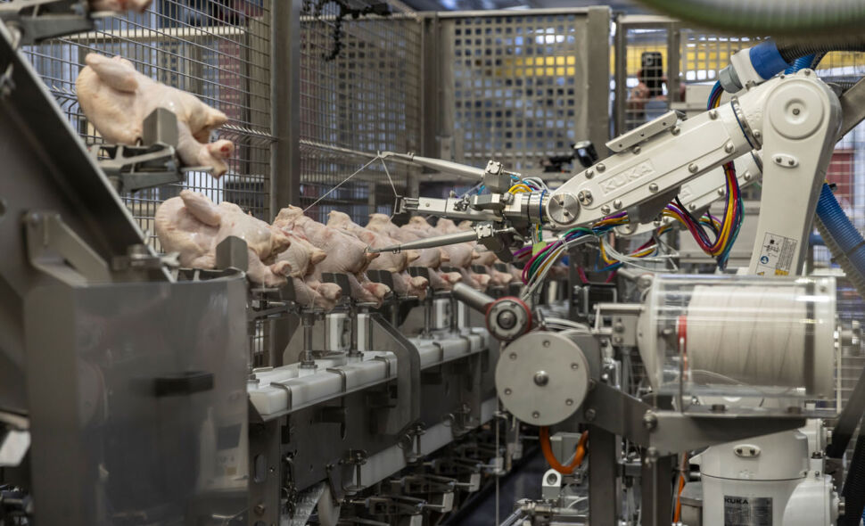 Scott Automation | Poultry Trussing