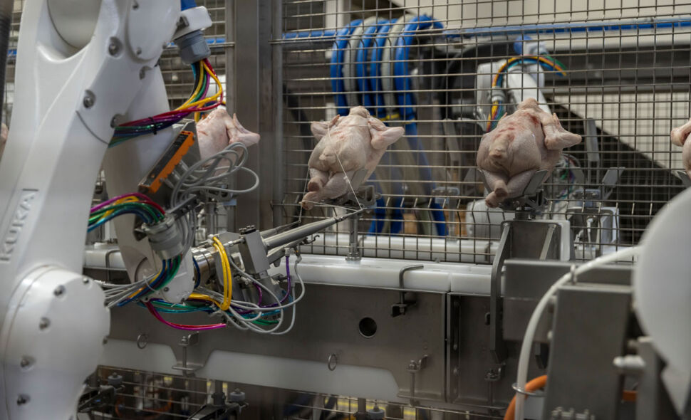 Scott Automation | Poultry Trussing