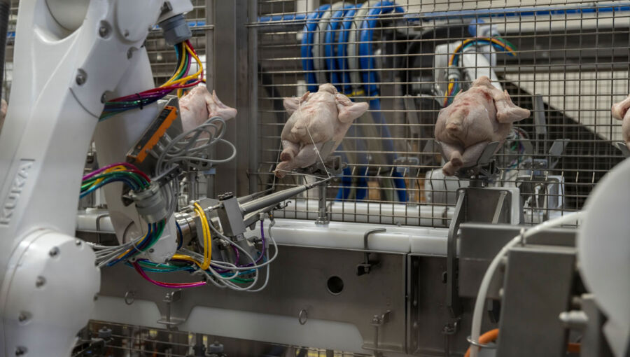 Scott | Poultry Trussing